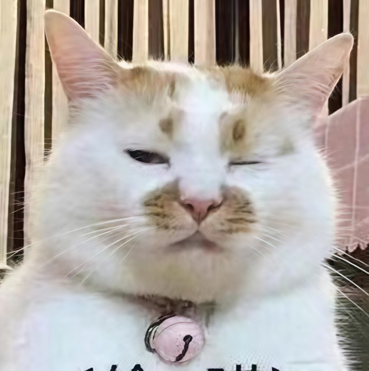 分类: Sre-Night学操作系统 | Sre.Night's blog